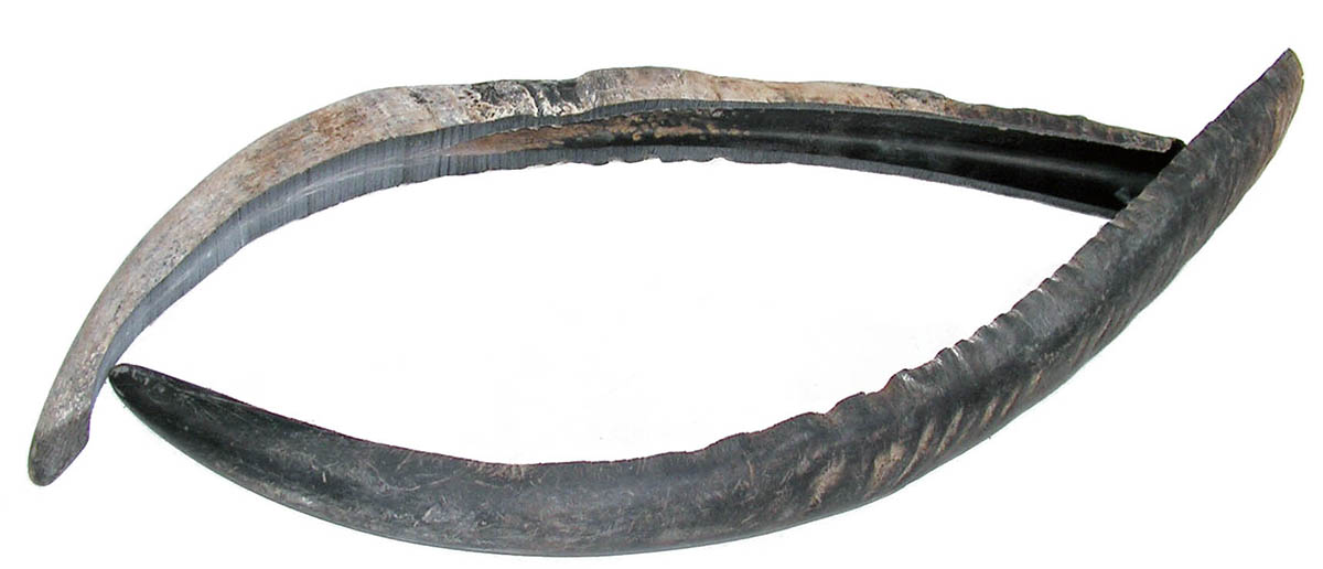 étape 4 – les cornes - Compagnons de la licorne argentée