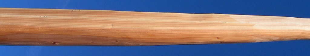 quels sont les formes théoriques des arcs traditionnels : longbow ...